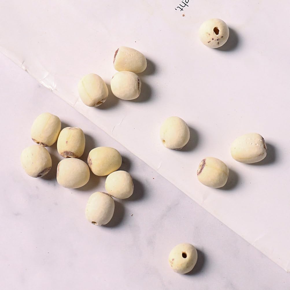 dried lotus seed for wellness