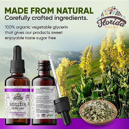 Dried mullein leaf herbal benefits