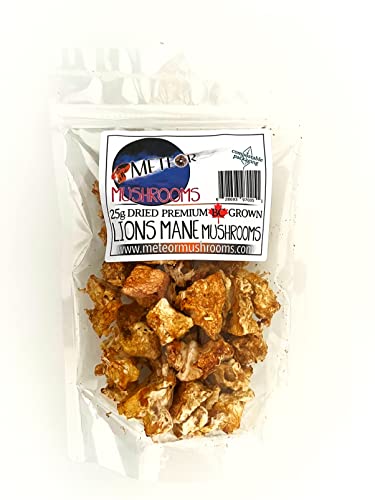 dried mushrooms for immune support