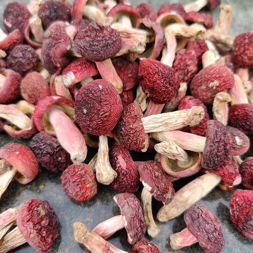 dried mushrooms for natural supplements