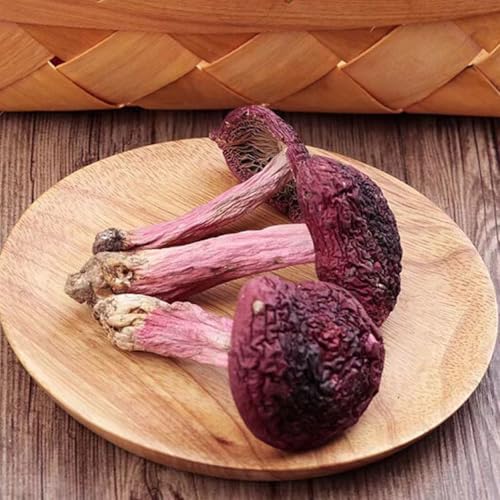 dried mushrooms for vegetarian cooking