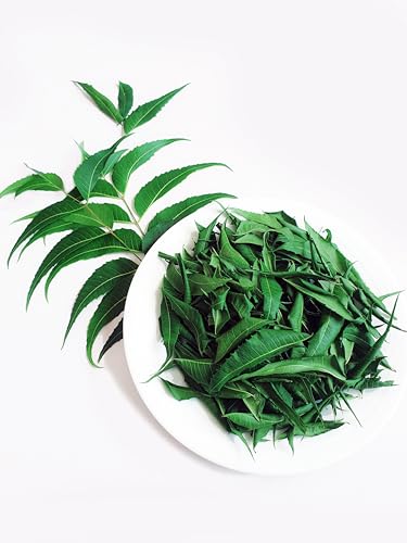 Dried neem leaves from Sri Lanka
