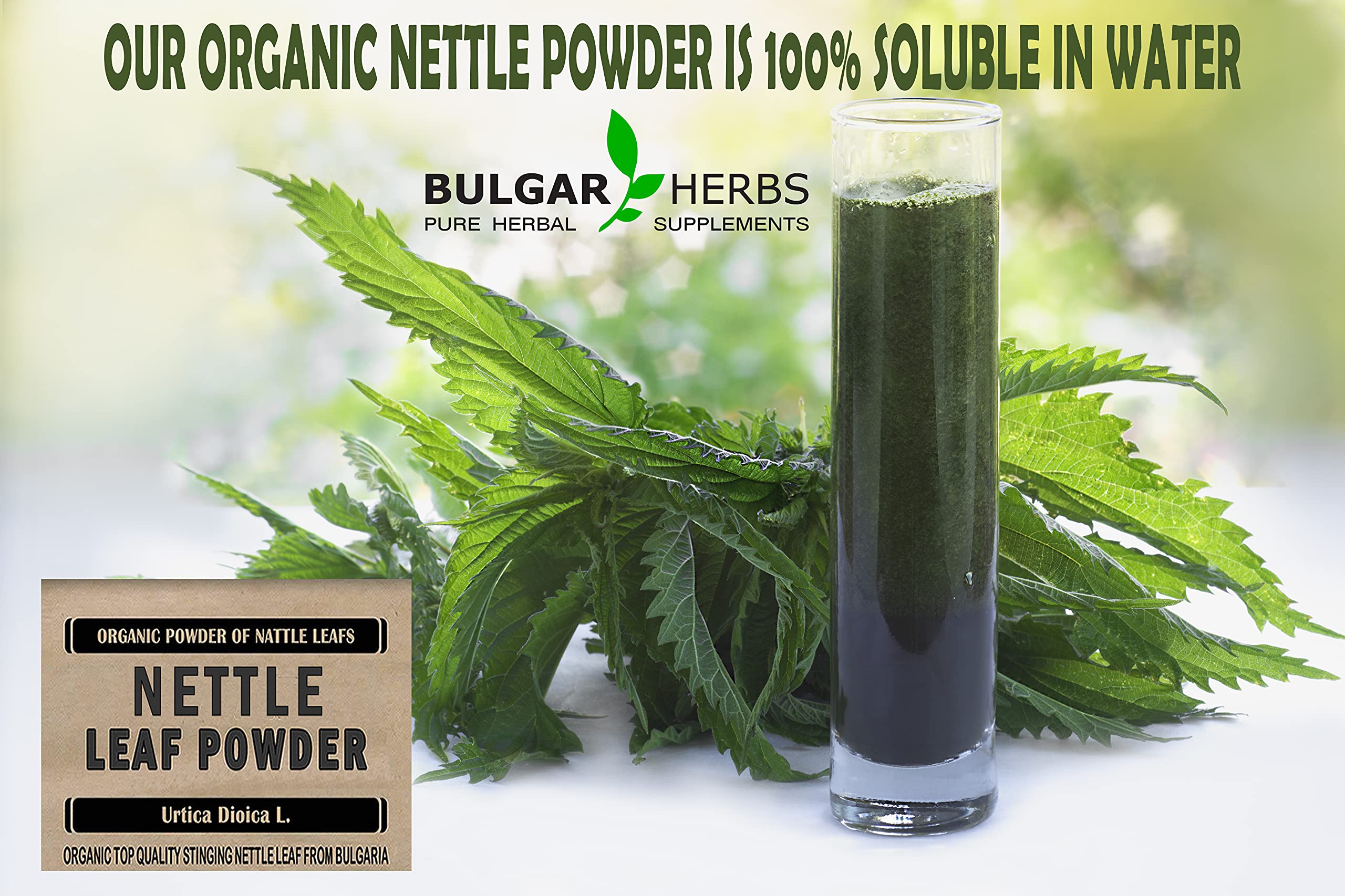 dried nettle superfood for health