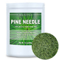 dried pine needle tea benefits
