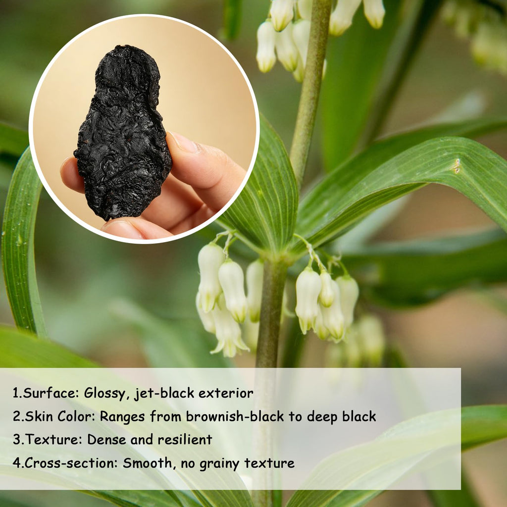 Dried Polygonatum tea for immune support