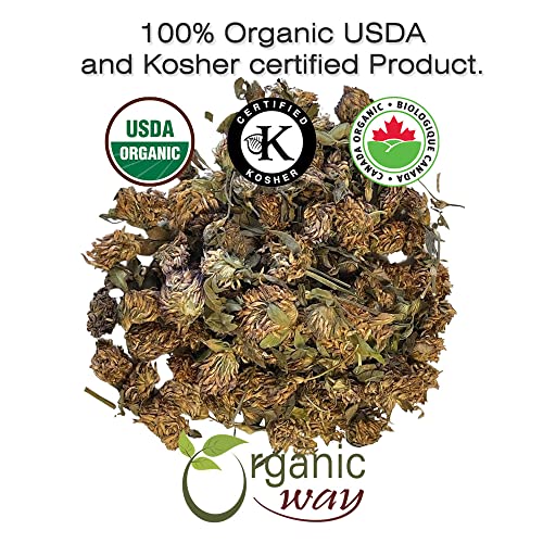 dried red clover blossoms benefits