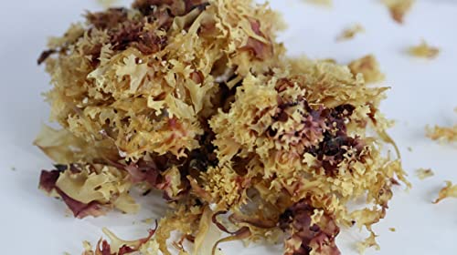 dried seaweed & nori for salads