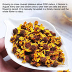 Dried Snow Chrysanthemum herbal infusion