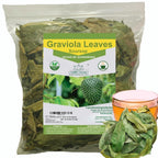 dried soursop graviola leaves for tea