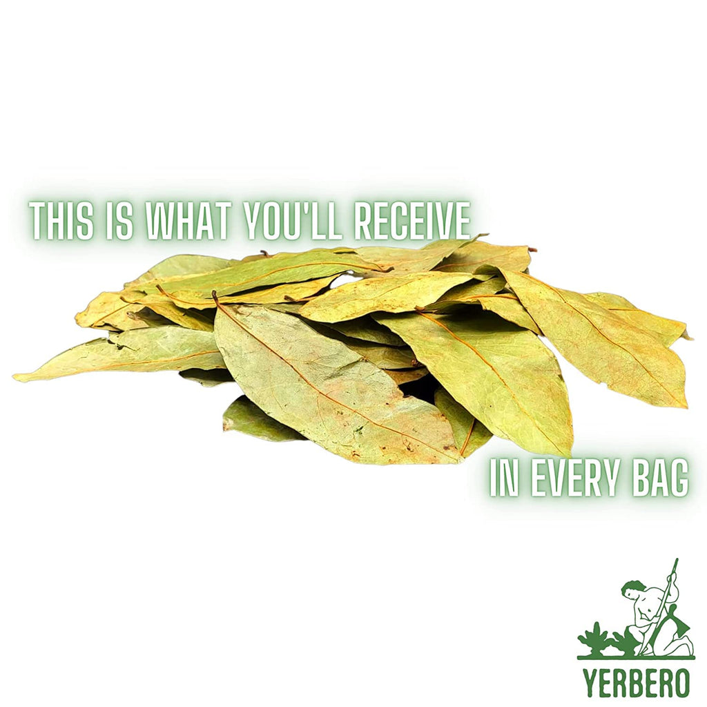 dried soursop leaves for detox