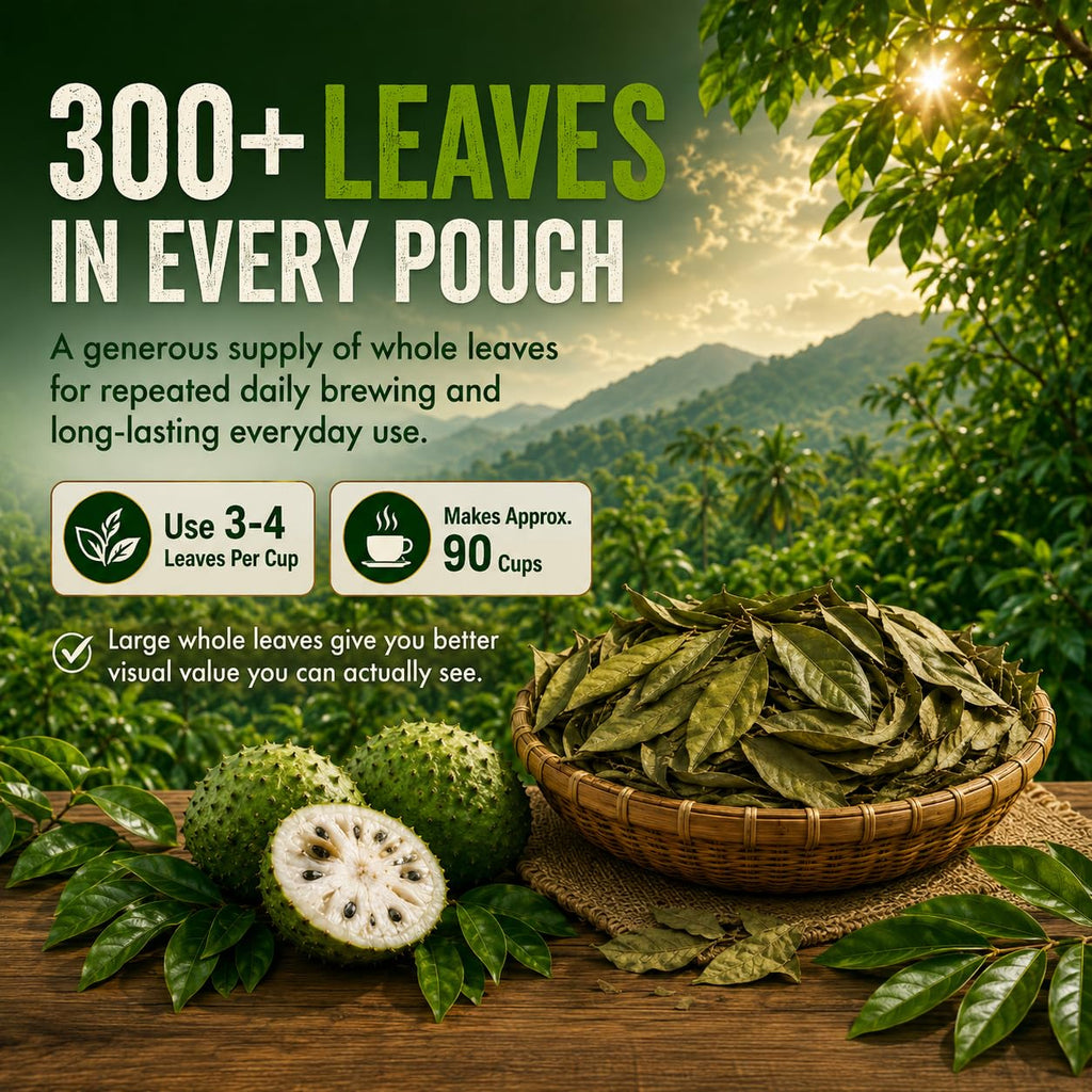 Dried soursop leaves for wellness
