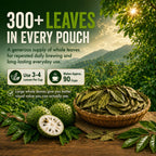 Dried soursop leaves for wellness