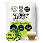 dried soursop leaves herbal benefits