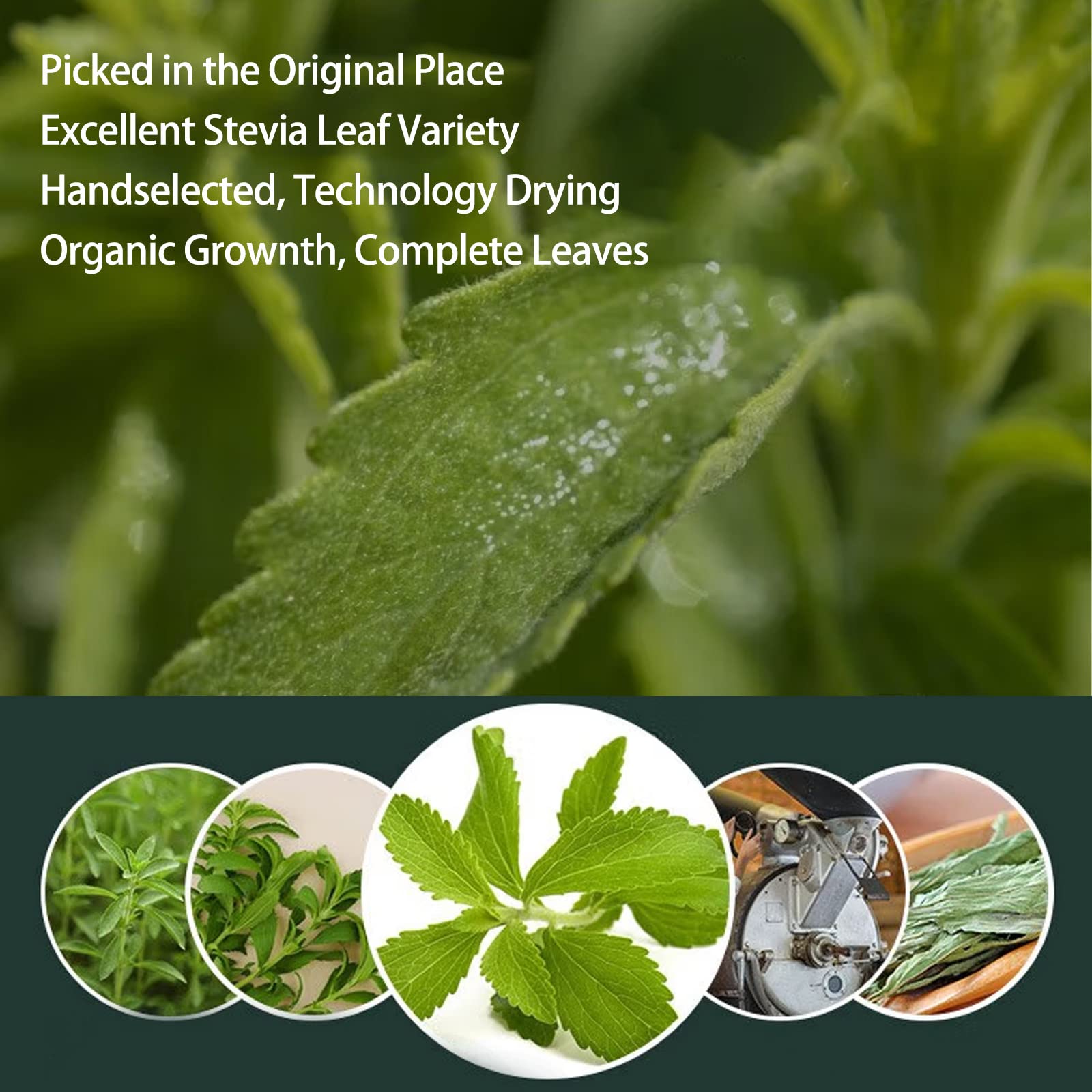 Dried stevia leaves for baking