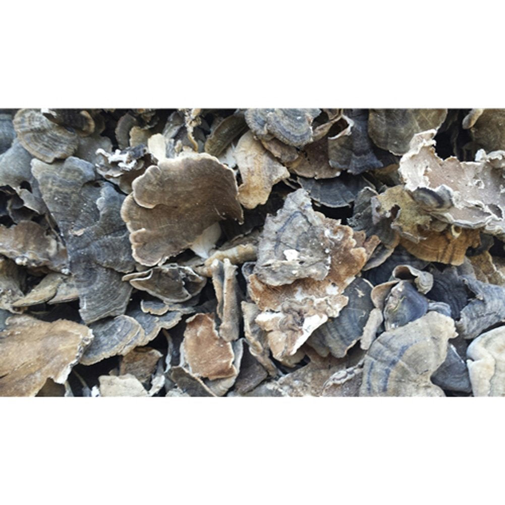 dried turkey tail mushrooms for health