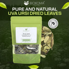 dried Uva Ursi leaves for brewing