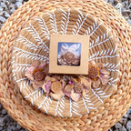 Dried whole blooming tea flowers