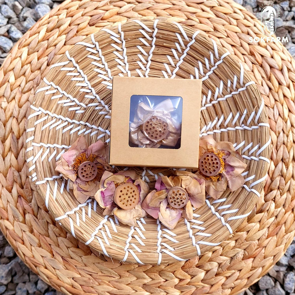 Dried whole blooming tea flowers