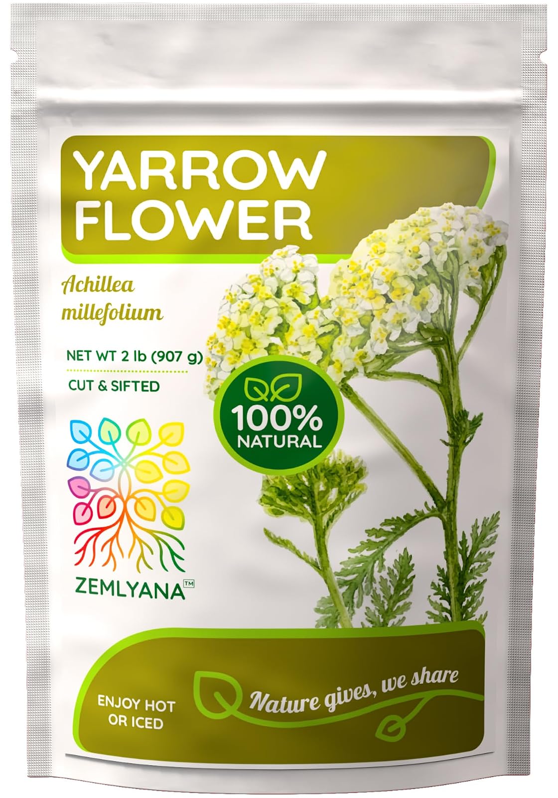 Dried yarrow flowers herbal tea