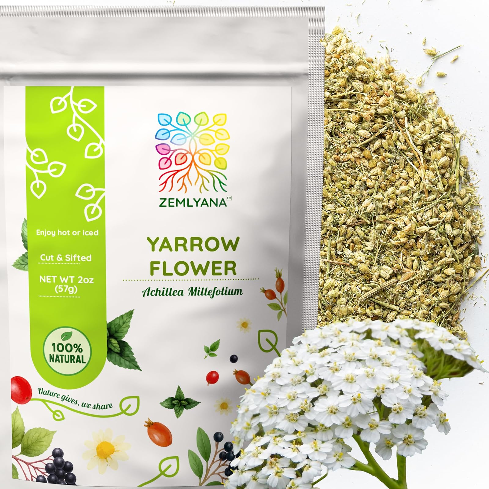 Dried yarrow flowers herbal tea