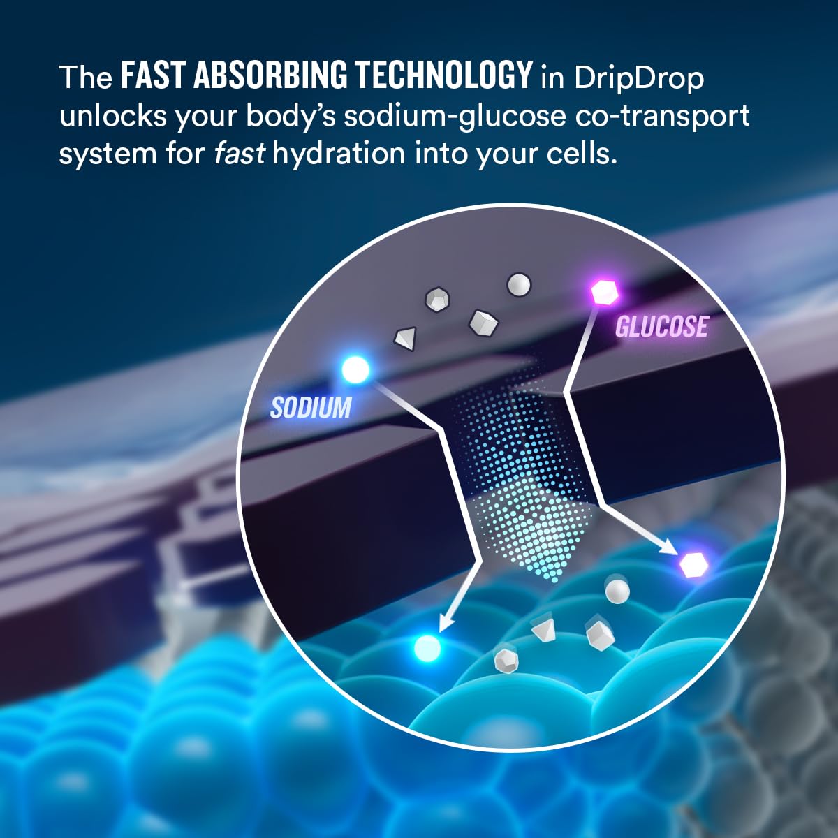 DripDrop hydration for everyday use