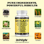 DrPKLyfe Shilajit for immune support
