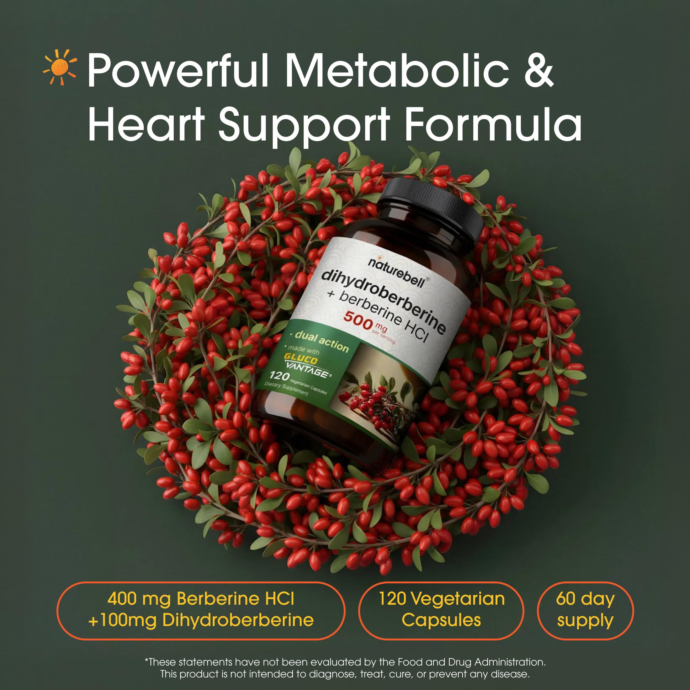 dual action dihydroberberine capsules