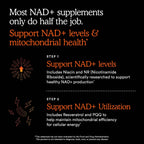 Dual action NAD+ supplement benefits