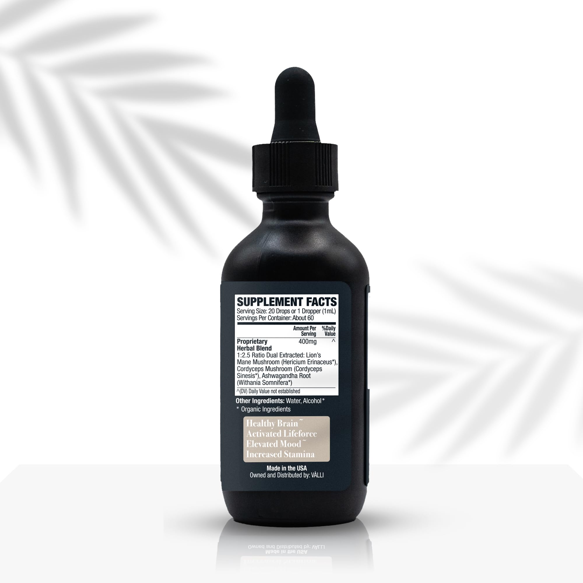 Dual-extract mushroom tincture benefits
