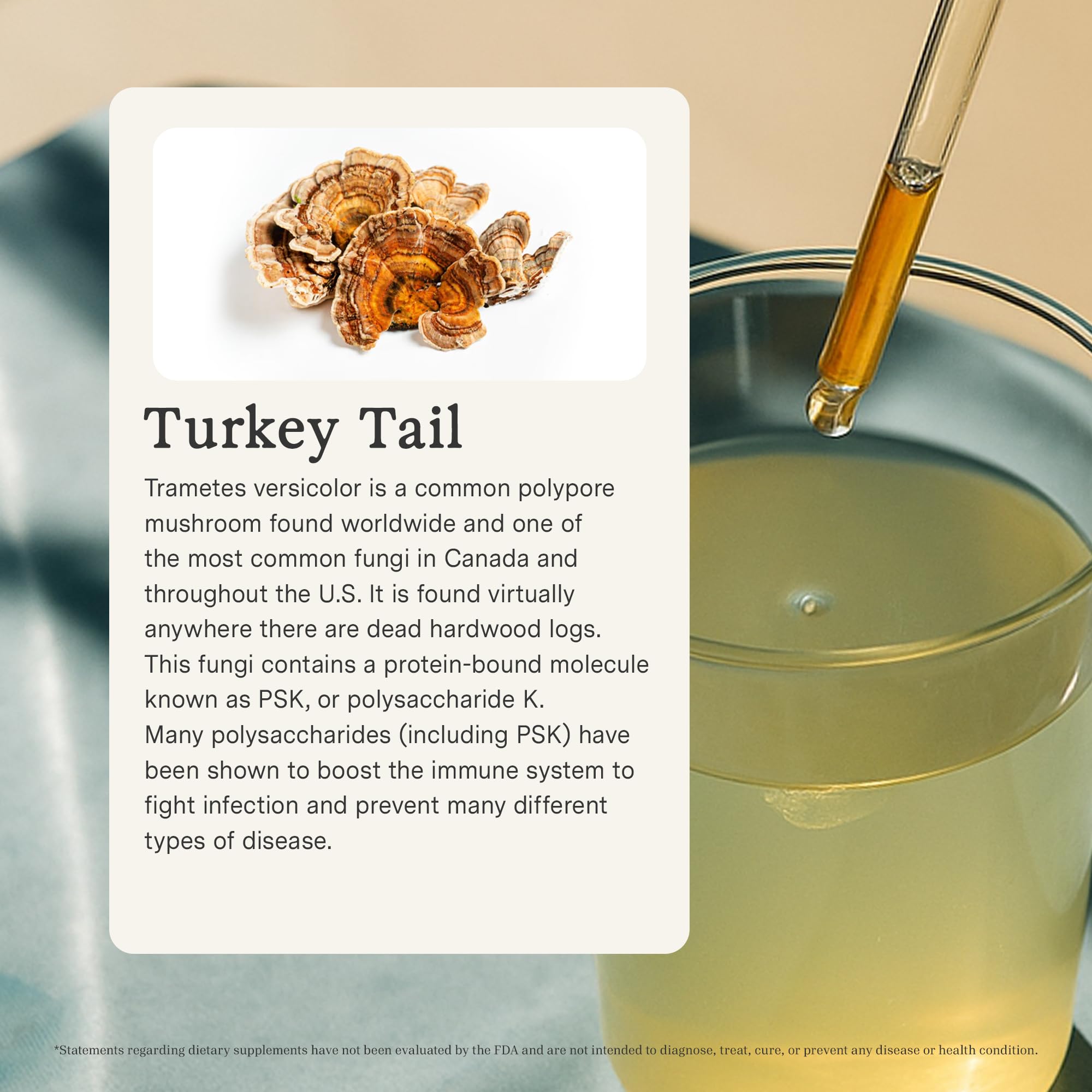 dual extract Turkey Tail supplement