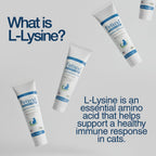 Dual pack L-Lysine for pets