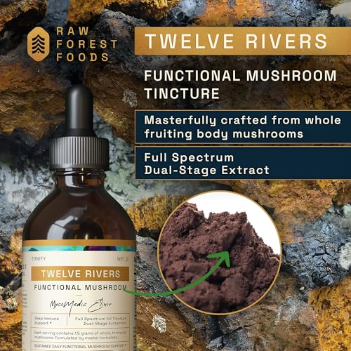 Dual-stage extraction mushroom supplement