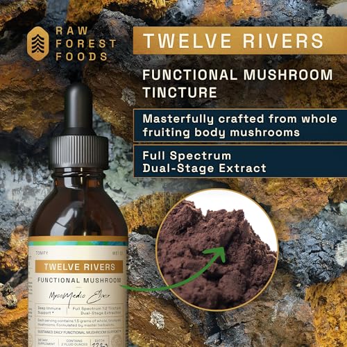 dual-stage extraction mushroom supplement