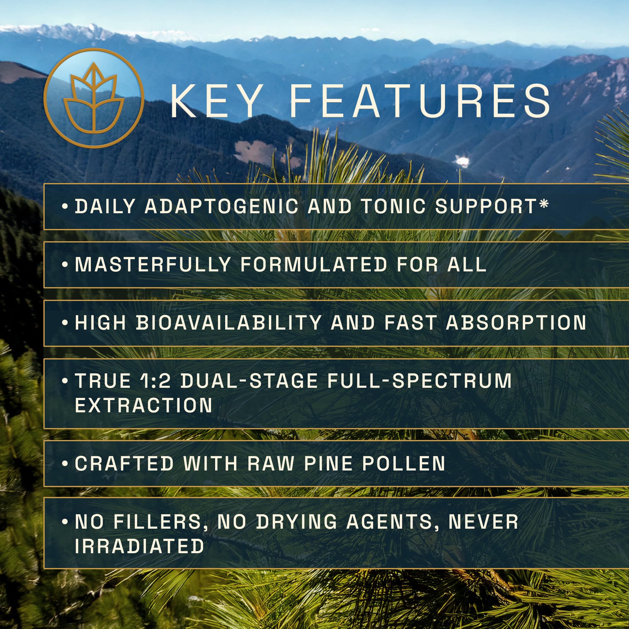 dual-stage extraction pine pollen elixir