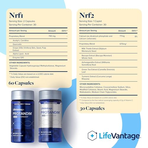 dual synergizer multivitamin for men