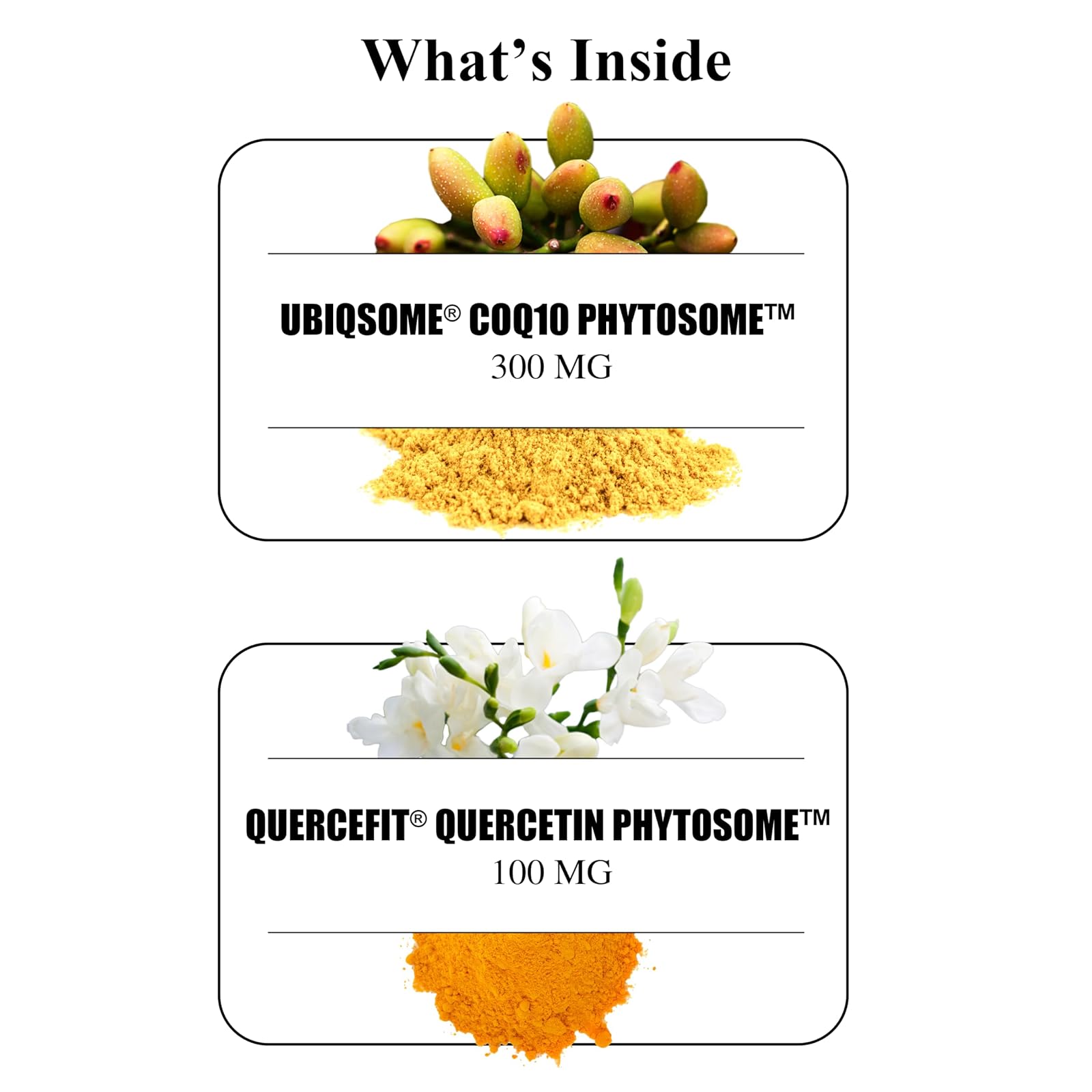 Durable coq10 for improved vitality