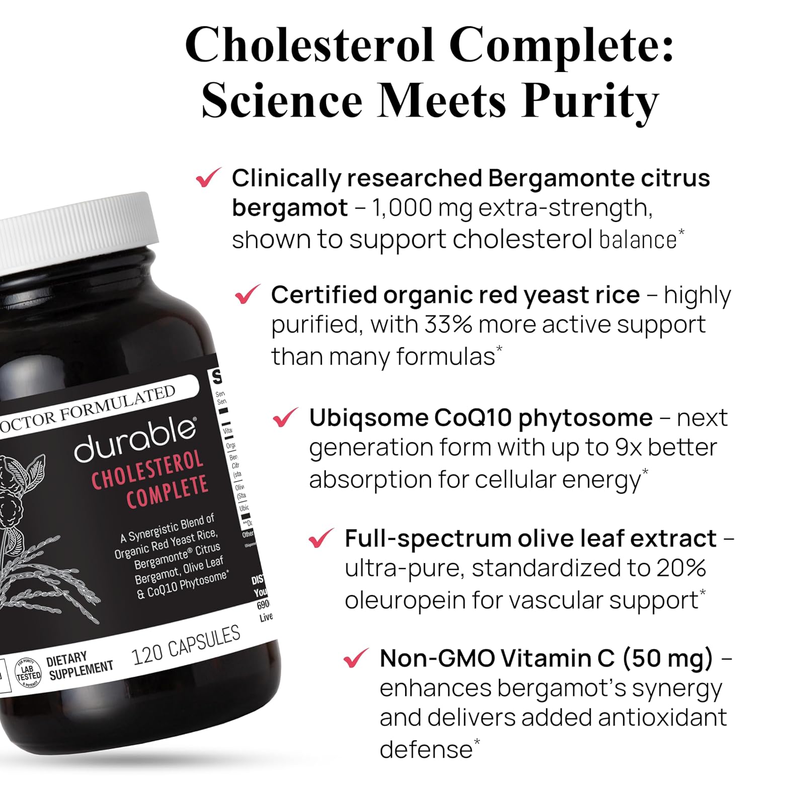 Durable herbal remedy for cholesterol