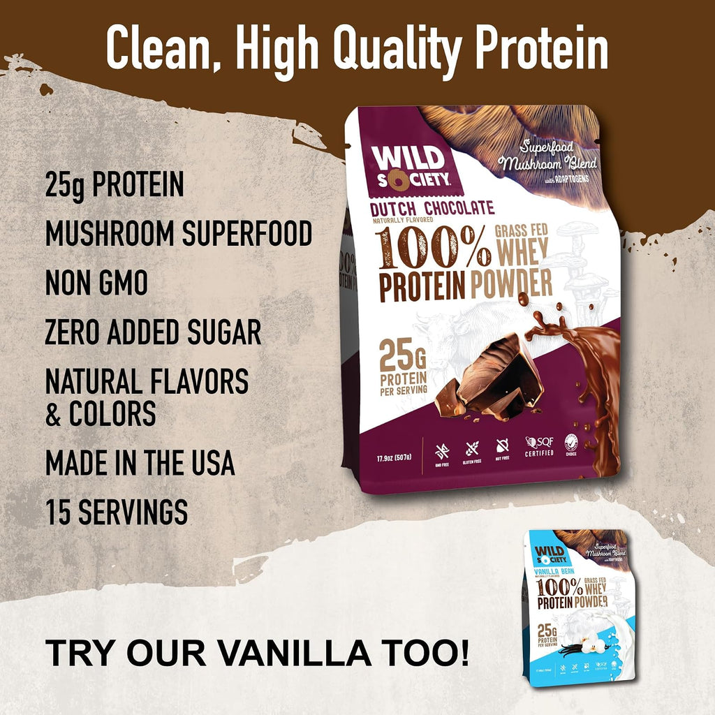 Dutch chocolate whey protein