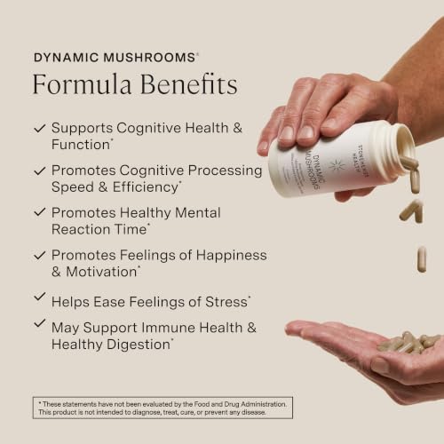 dynamic mushrooms for cognitive support