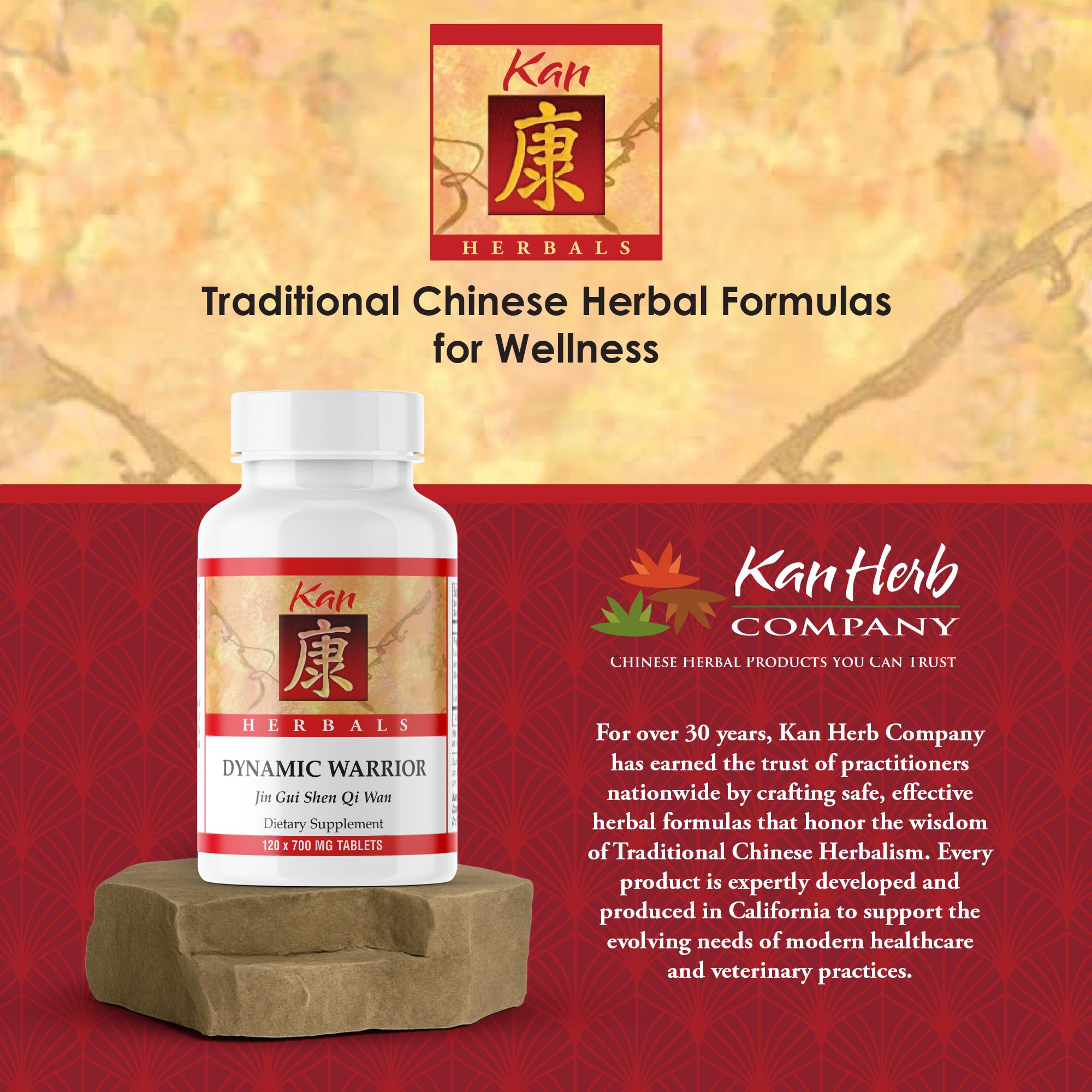 Dynamic Warrior vitamins for mental clarity