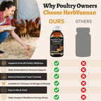 E+S Poultry vitality for better growth