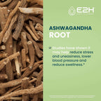 E2H herbal ashwagandha liquid formula