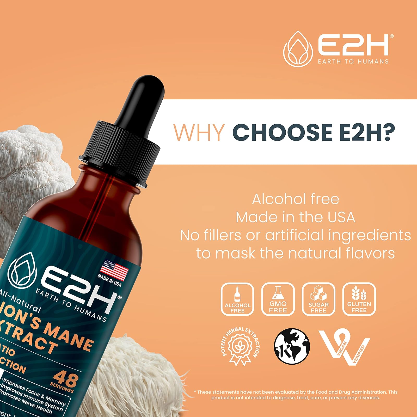 E2H lion's mane for stress relief