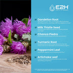 E2H milk thistle herbal remedy