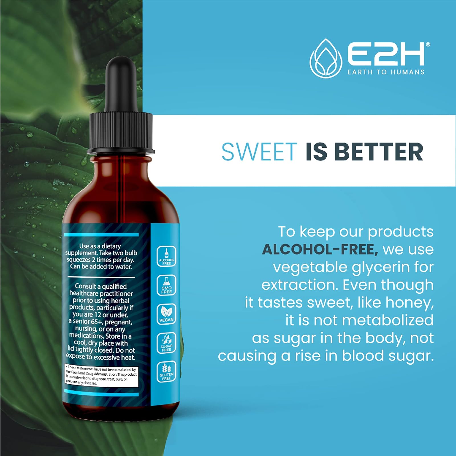 E2H milk thistle immune support