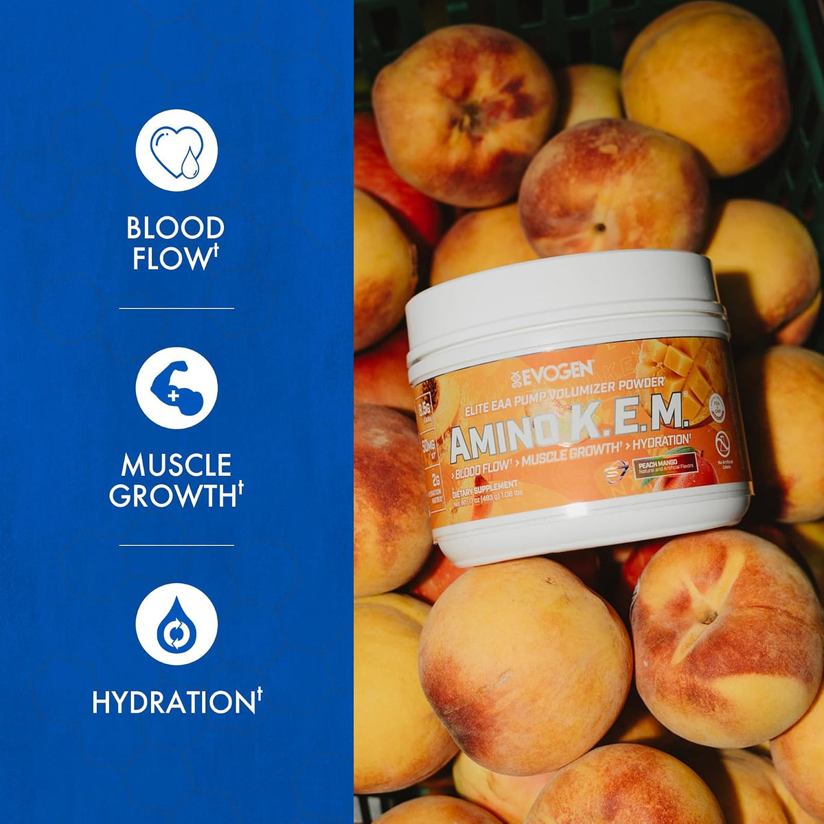 EAA and BCAA for muscle recovery