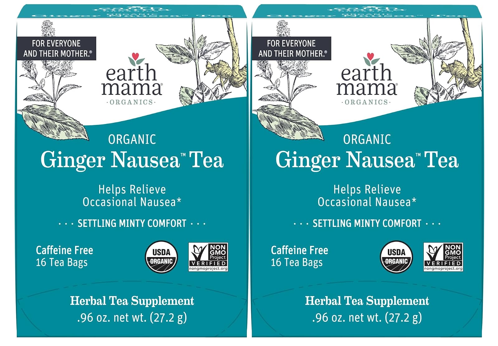 Earth Mama ginger tea for nausea relief