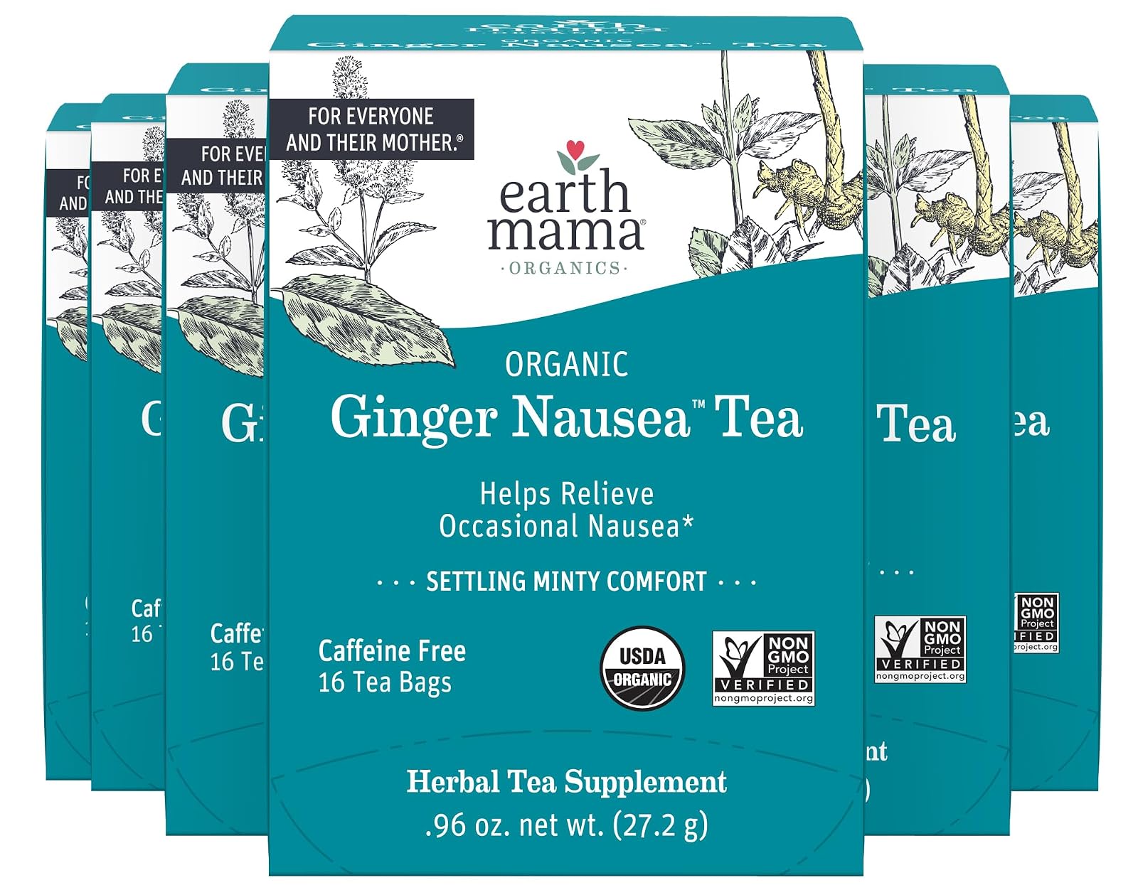 Earth Mama ginger tea for nausea relief