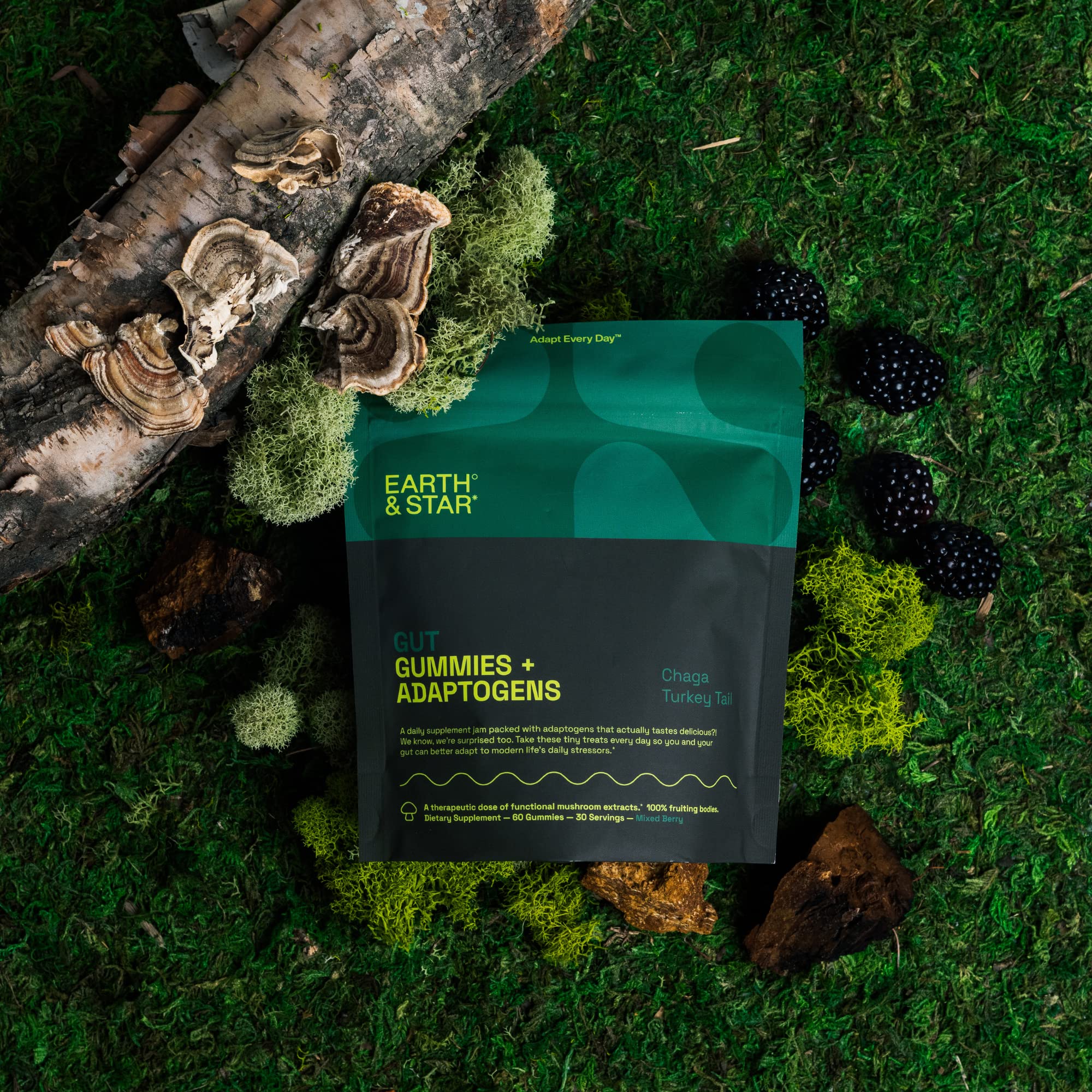 Earth & Star mushroom gummies for energy