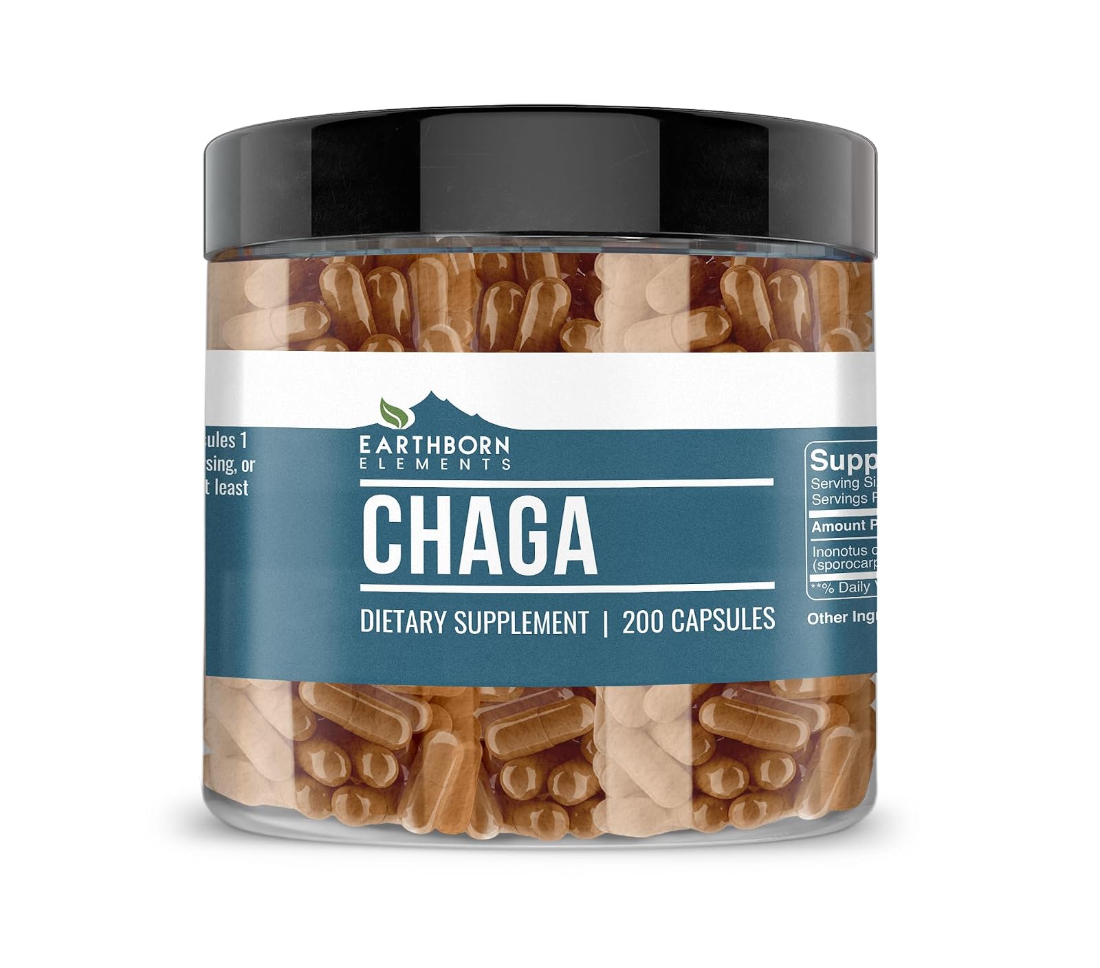 Earthborn Elements Chaga mushroom capsules
